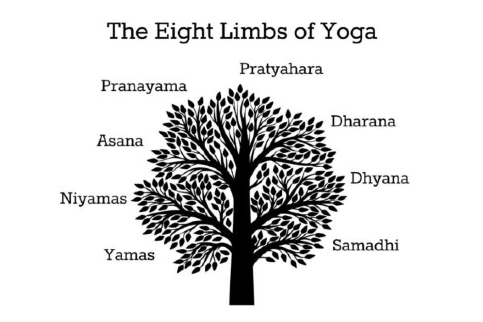 The Eight Limbs of Yoga: What They Mean and How to Apply Them - Yoga ...